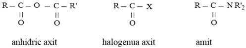 Este là gì? Công thức cấu tạo, tính chất hóa học và bài tập về este?