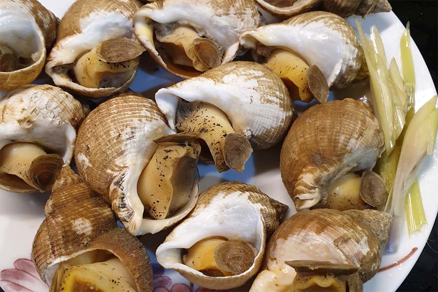 Ốc bulot là gì? Mách bạn các món ngon từ Ốc bulot