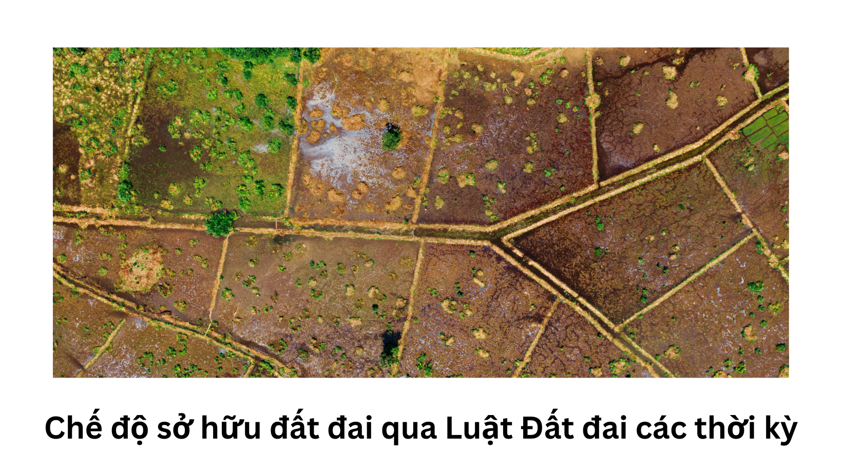 Chế độ sở hữu đất đai qua Luật Đất đai các thời kỳ