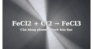 Cân bằng phản ứng sau: FeCl2 + AgNO3 → Fe(NO3)2 + AgCl