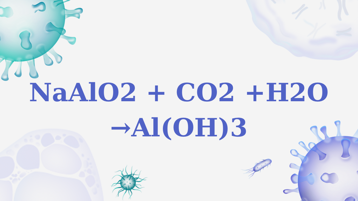 NaAlO2 + CO2 + H2O → Al(OH)3 ↓ + NaHCO3