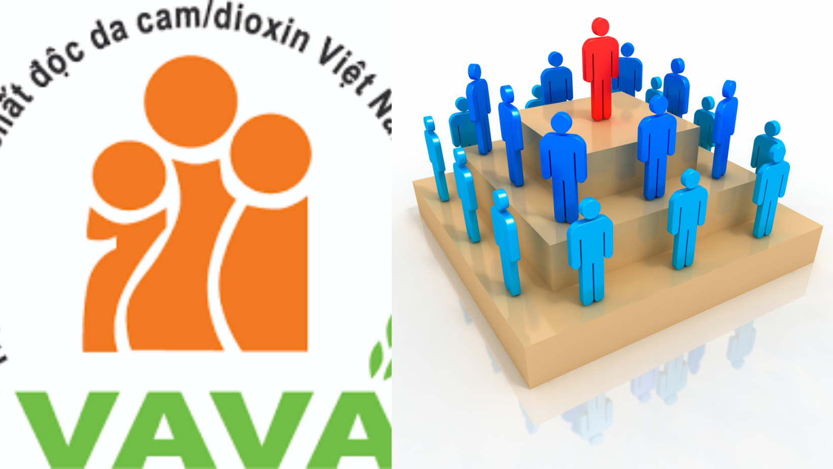 Tài chính Hội Nạn nhân chất độc da cam/dioxin Việt Nam từ đâu?