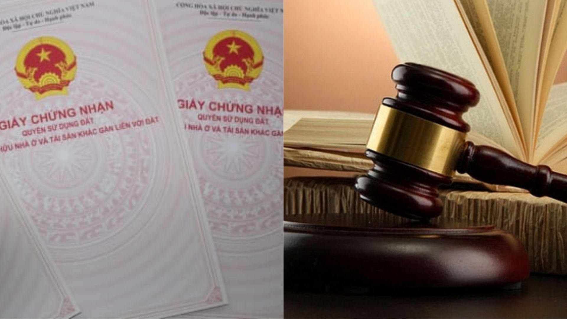 Cấp giấy chứng nhận quyền sử dụng đất, giao đất trên thực địa cho người ...