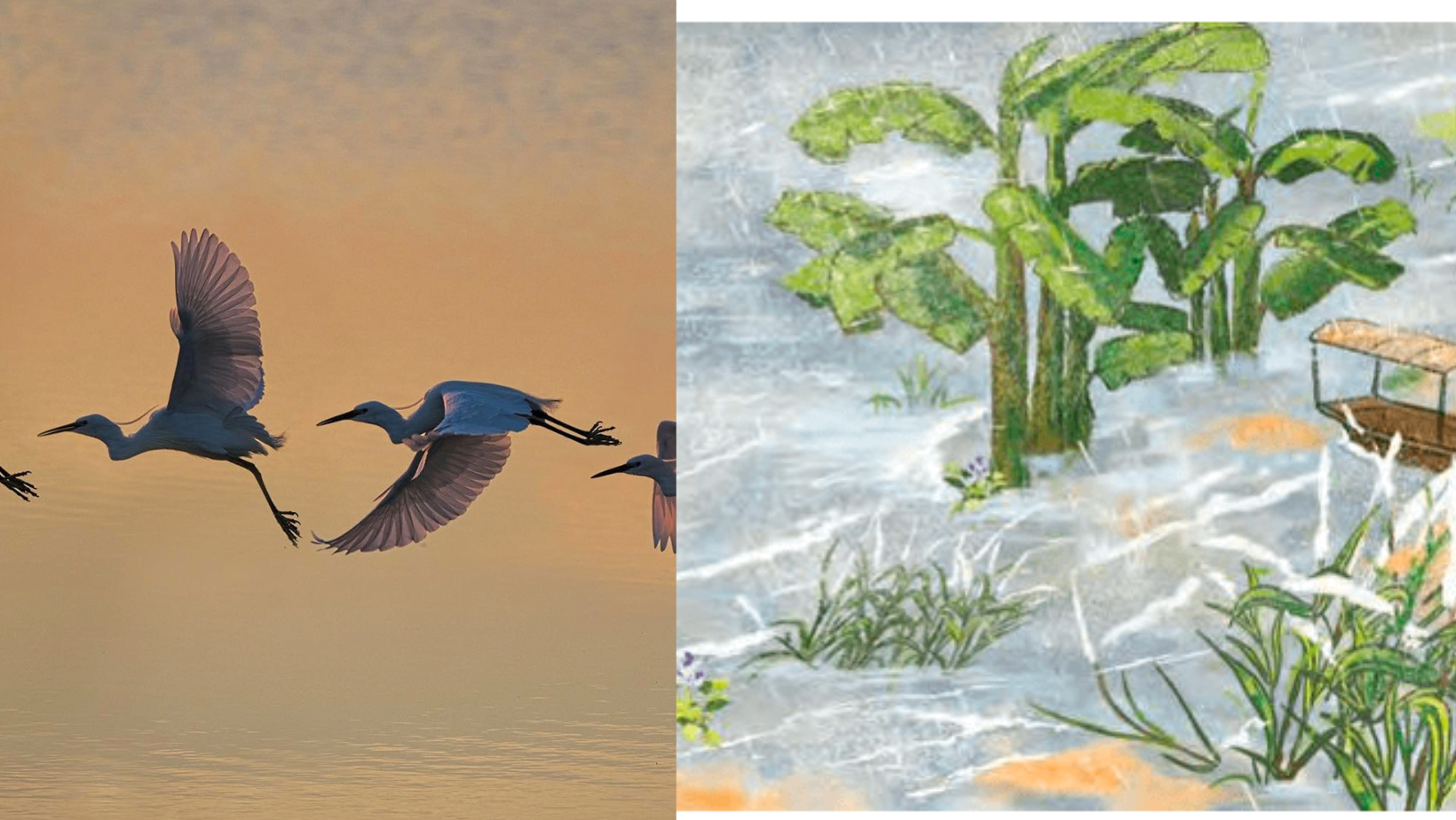 Tóm tắt Bầy chim chìa vôi ngắn gọn, đầy đủ nhất Ngữ văn lớp 7