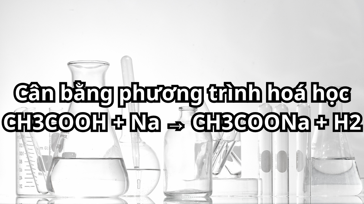 Cân bằng phương trình hoá học CH3COOH + Na → CH3COONa + H2