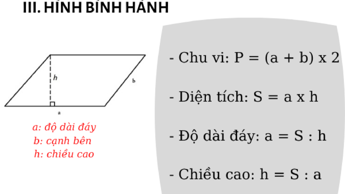 Giải Vở bài tập Toán lớp 4 bài 95 Luyện tập chi tiết nhất