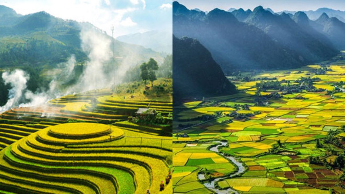 Phân tích hình tượng đất nước trong bài thơ Việt Bắc và Đất Nước