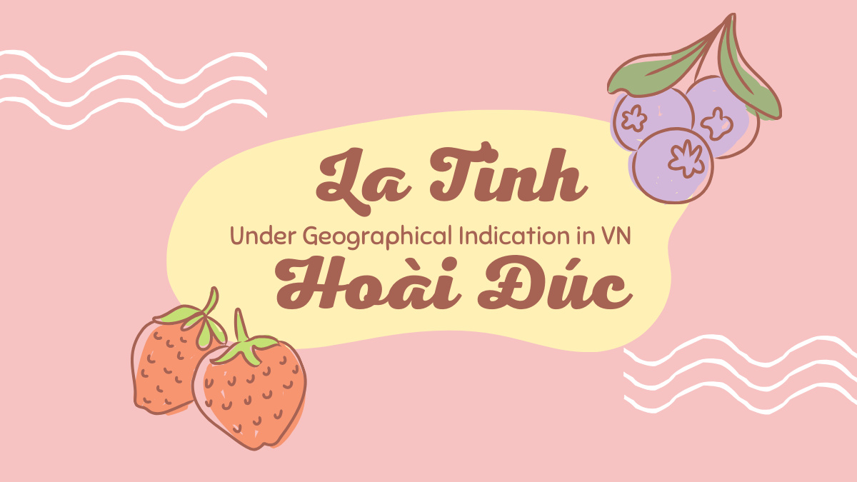 "La Tinh Hoai Duc" Grapefruit Under Geographical Indication in VN