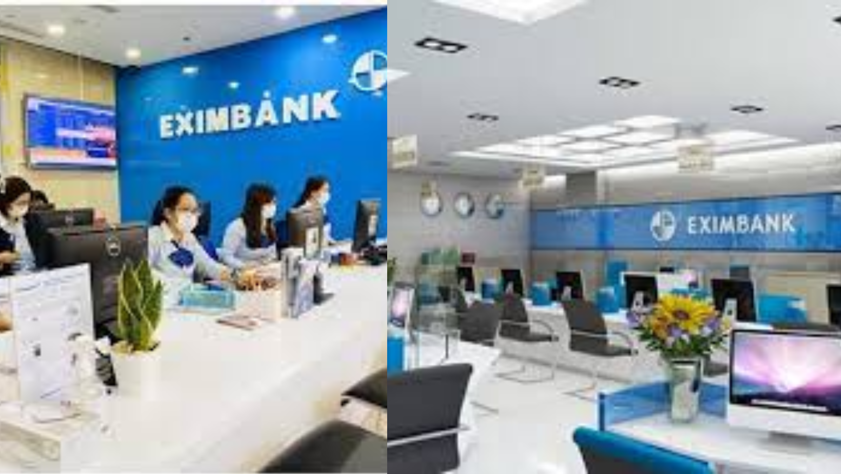 Ý nghĩa biểu tượng logo của ngân hàng Eximbank là gì?