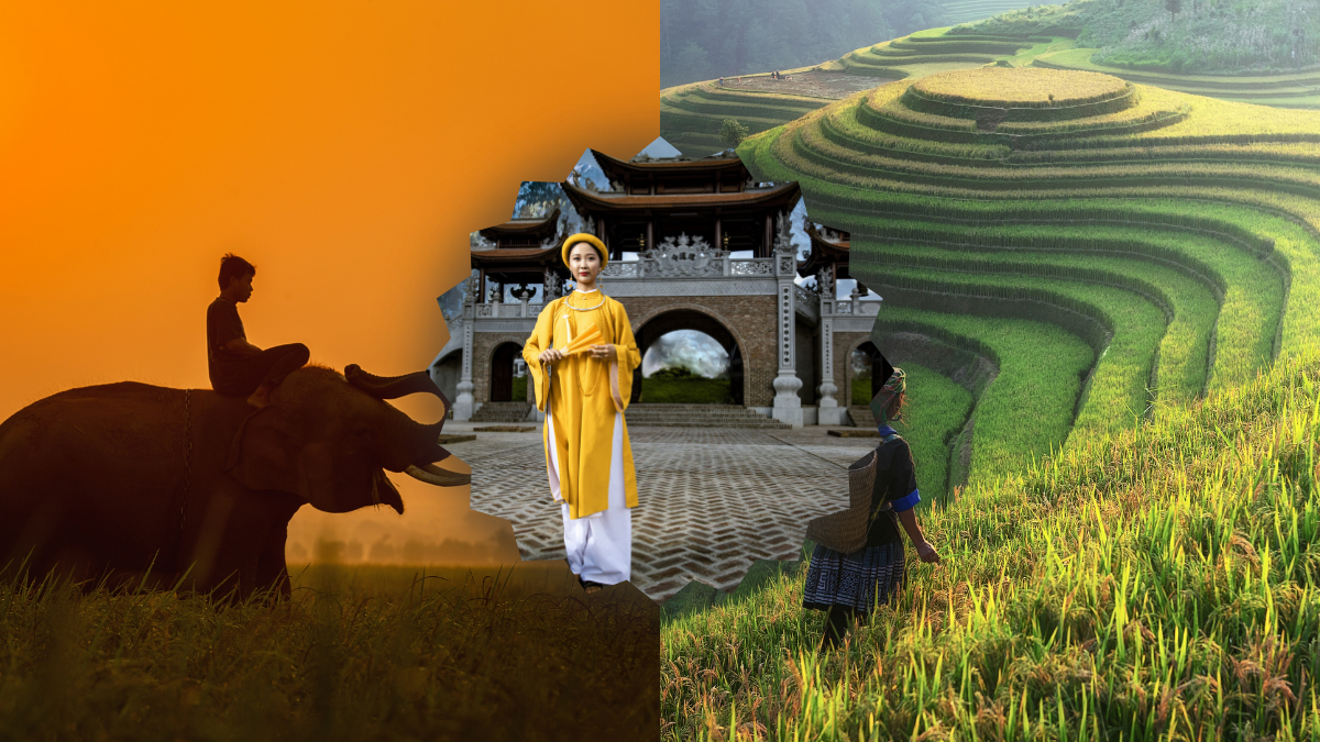 Đoạn văn cảm nhận về sự giàu đẹp của tiếng Việt chọn lọc hay nhất