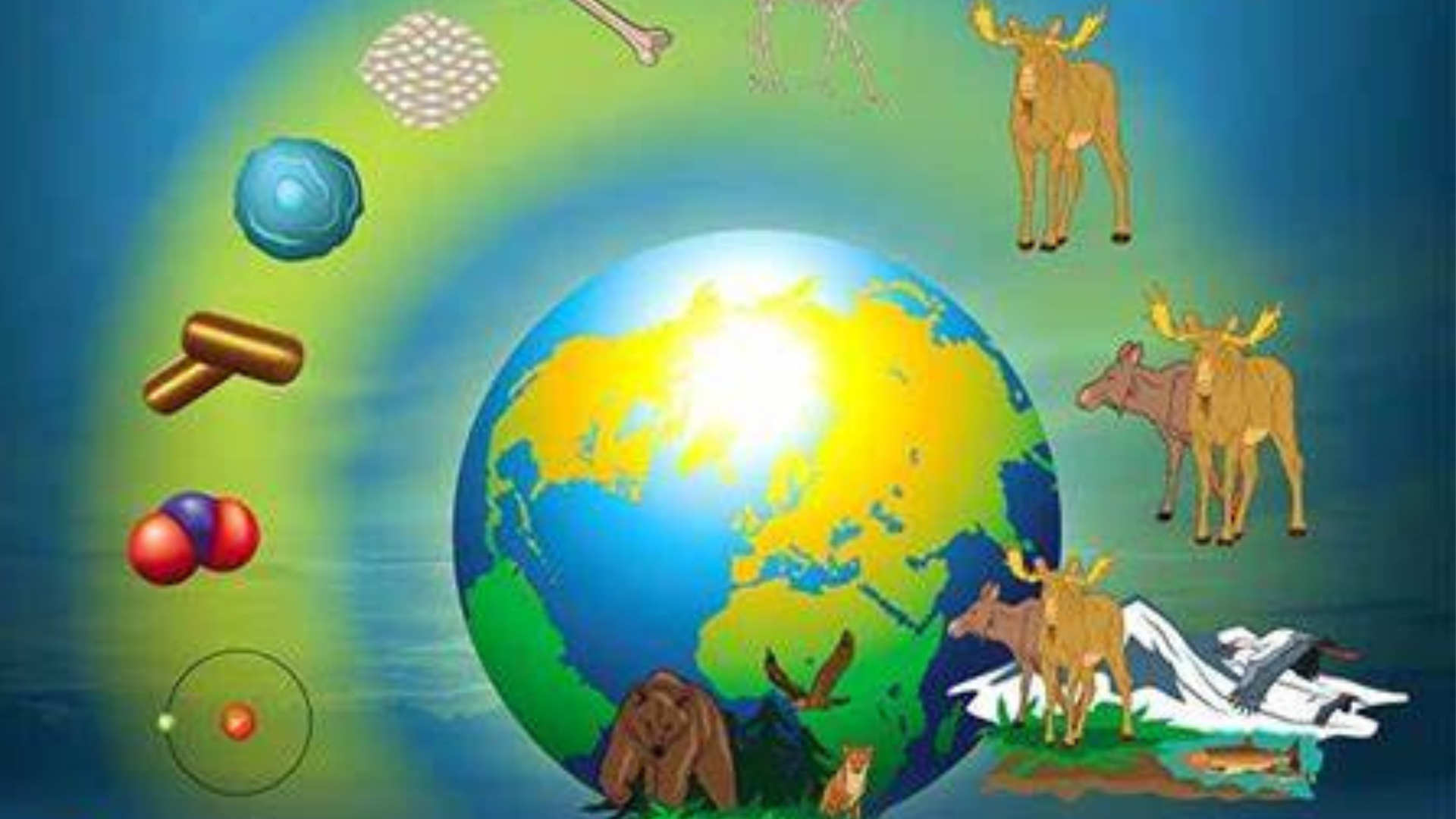 Giải KHTN Lớp 6 Bài 23: Thực hành xây dựng khóa lưỡng phân