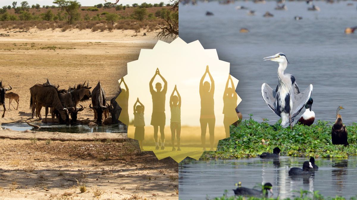 Viết thư UPU lần thứ 53: Trái đất nơi muôn loài cùng nhau sống chan hoà