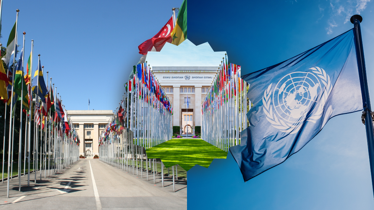 Talk about an international organisation that you know