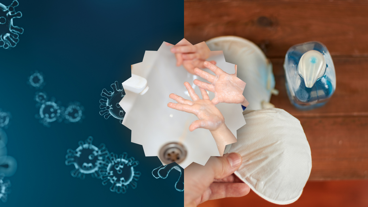 Write a passage to give advice on how to avoid viruses