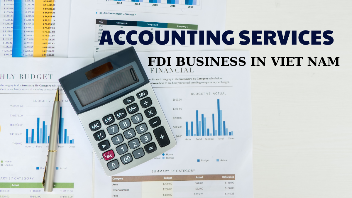 Create a FDI Business in Vietnam that offers Accounting Services