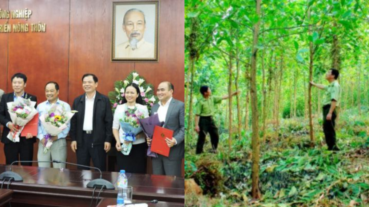 Tổ chức tham mưu tại Cục Lâm nghiệp thuộc Bộ Nông nghiệp và Phát triển