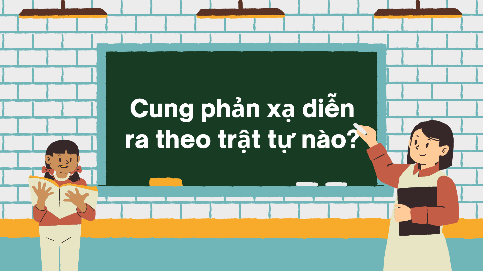 Cung phản xạ diễn ra theo trật tự nào? Sinh học 11