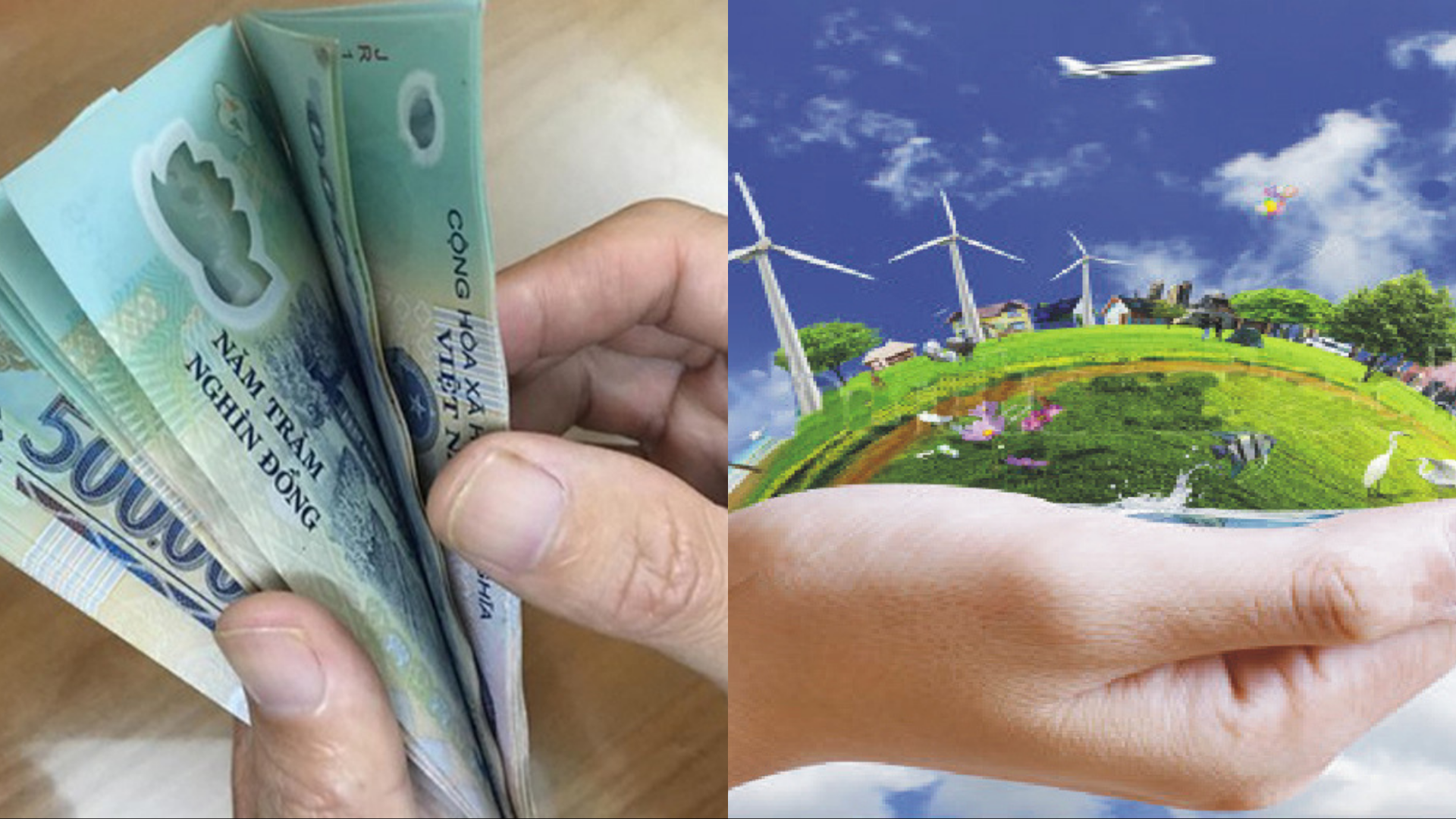 Nhà sản xuất sản phẩm có nhựa tổng hợp góp vào Quỹ Bảo vệ môi trường?