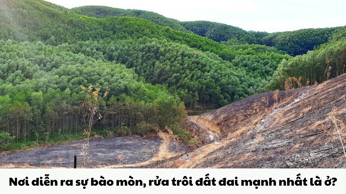 Nơi diễn ra sự bào mòn, rửa trôi đất đai mạnh nhất là ở?