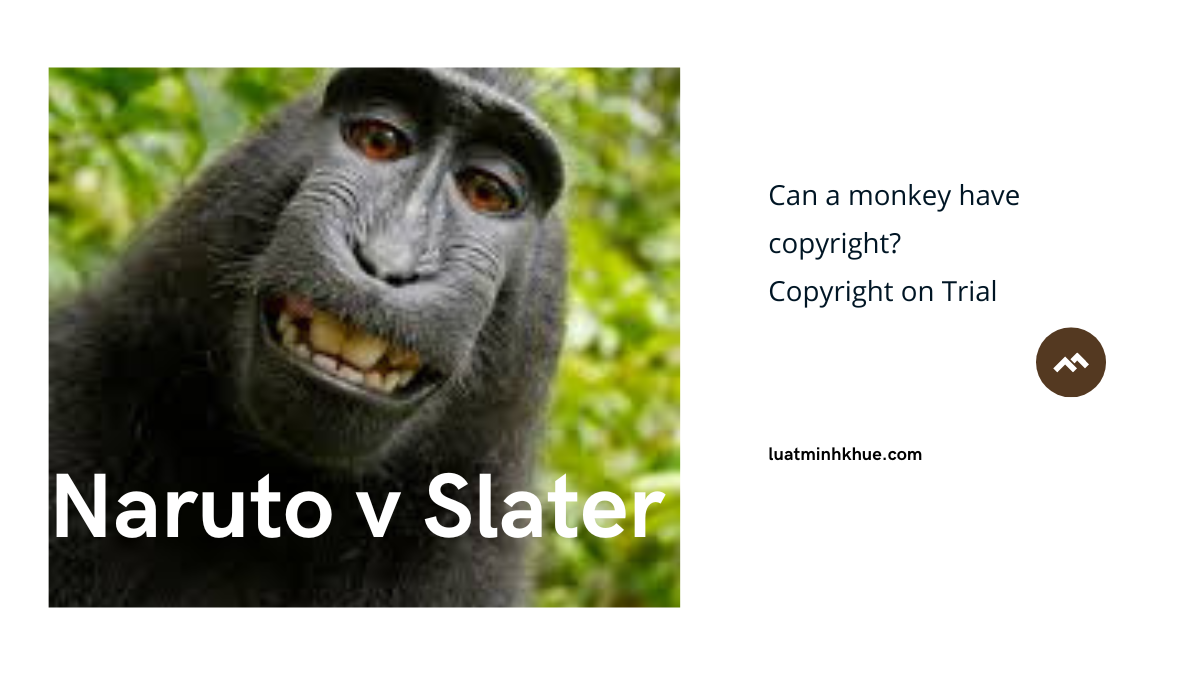 Can A Monkey Have Copyright? Ownership Rights on Trial