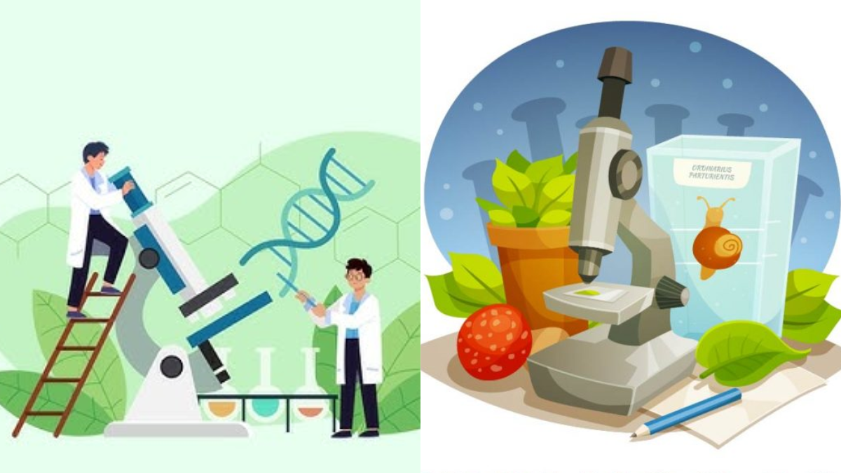 Bài tập Di truyền Menđen có lời giải chi tiết nhất Sinh học lớp 12