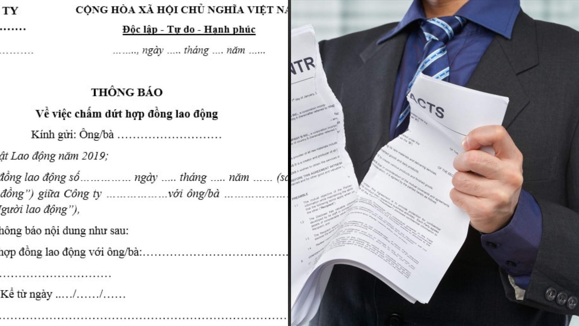 Mẫu Thông báo Chấm dứt Hợp đồng Lao động Mới Nhất 2024 - Tải Miễn Phí
