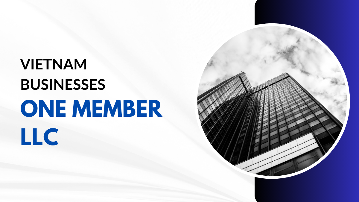 Start Your Vietnam Business Solo: One-Member LLC Explained