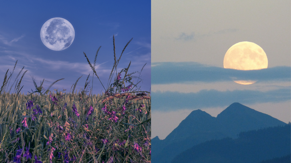 Cảm nhận bài thơ Trăng ơi từ đâu đến chọn lọc hay nhất