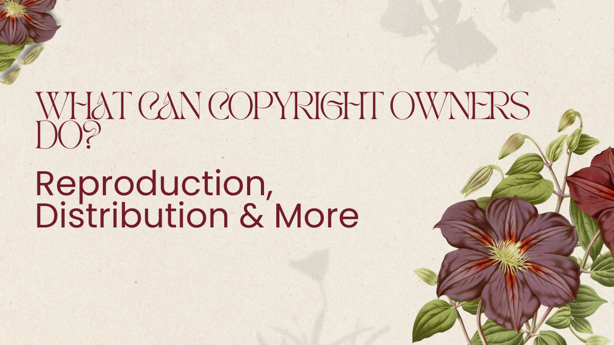 What Can Copyright Owners Do? Reproduction, Distribution & More