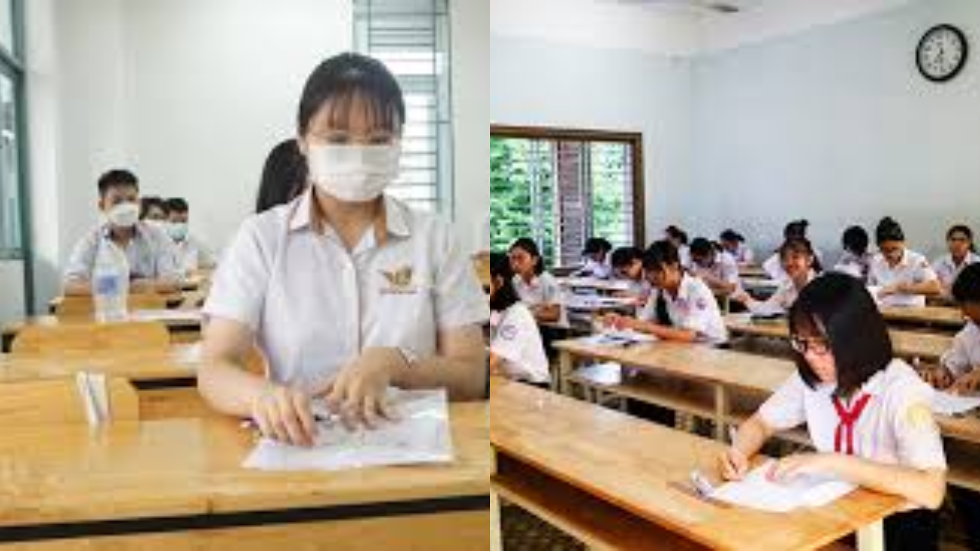 Hướng dẫn nộp đơn phúc khảo bài thi tuyển sinh lớp 10 tại Hồ Chí Minh?