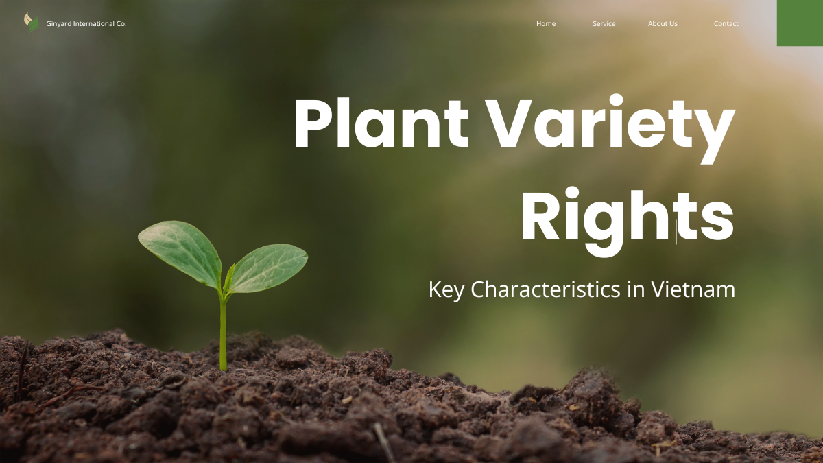 What Are Plant Variety Rights at Tanner Troy blog