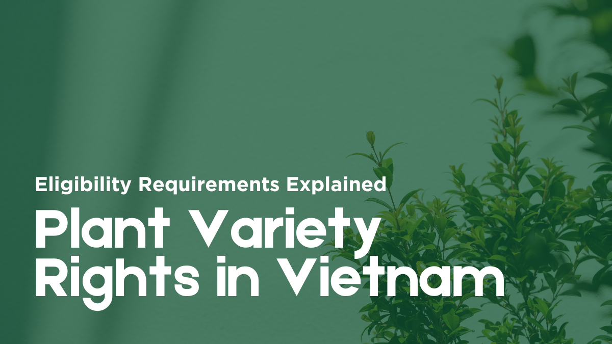 Vietnam Plant Variety Rights: Eligibility Requirements Explained