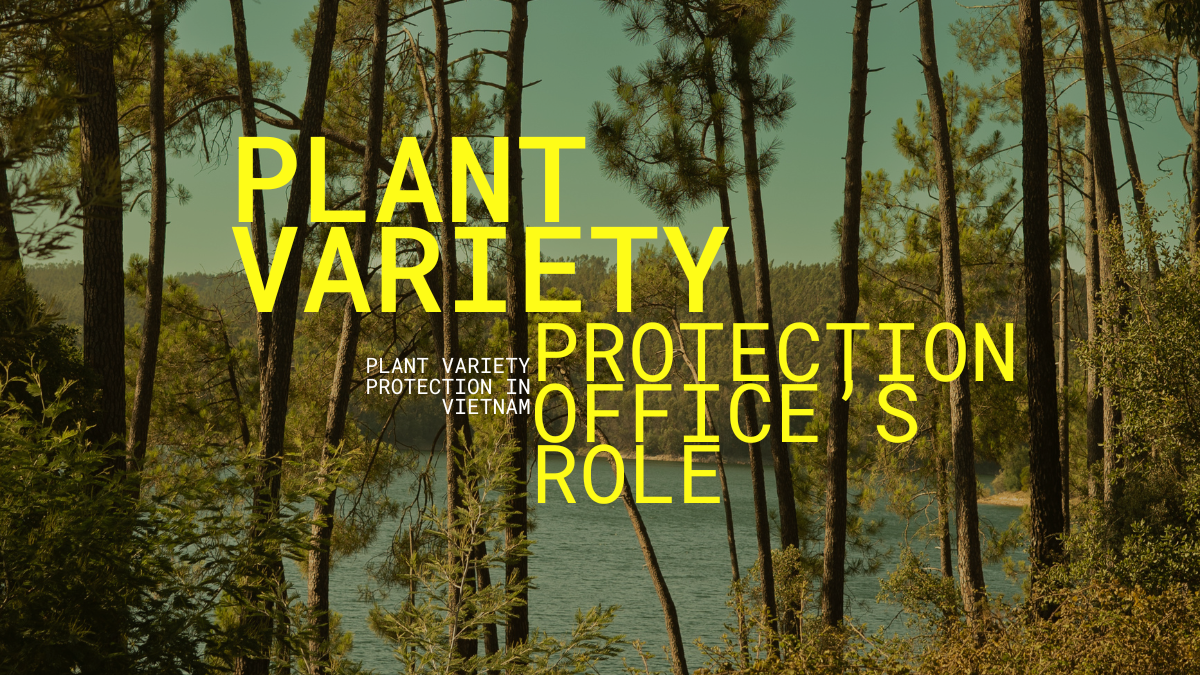 Plant Variety Protection in Vietnam: The PVPO's Role