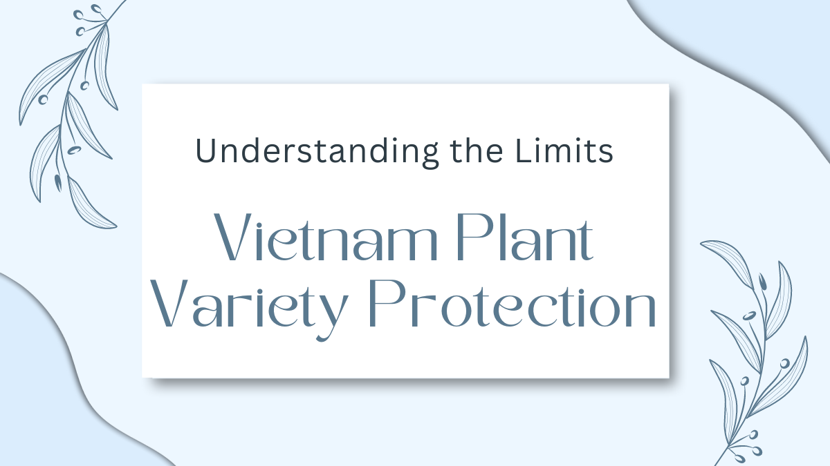 Plant Variety Rights in Vietnam: Understanding the Limits