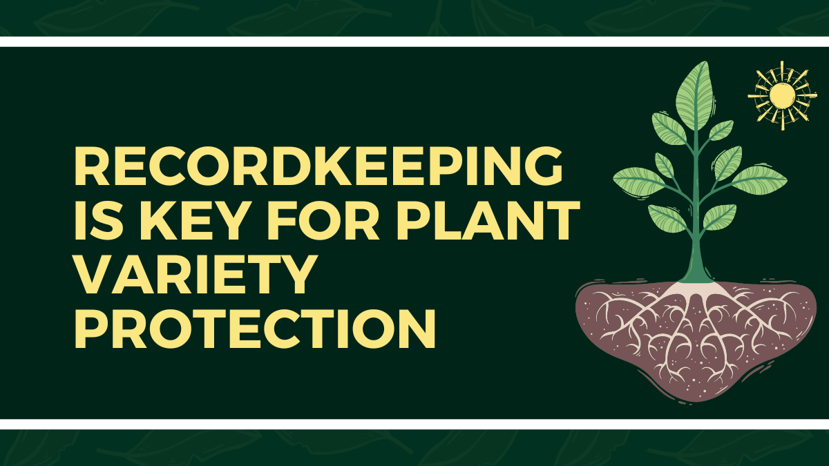 Why Recordkeeping is Key for Plant Variety Protection