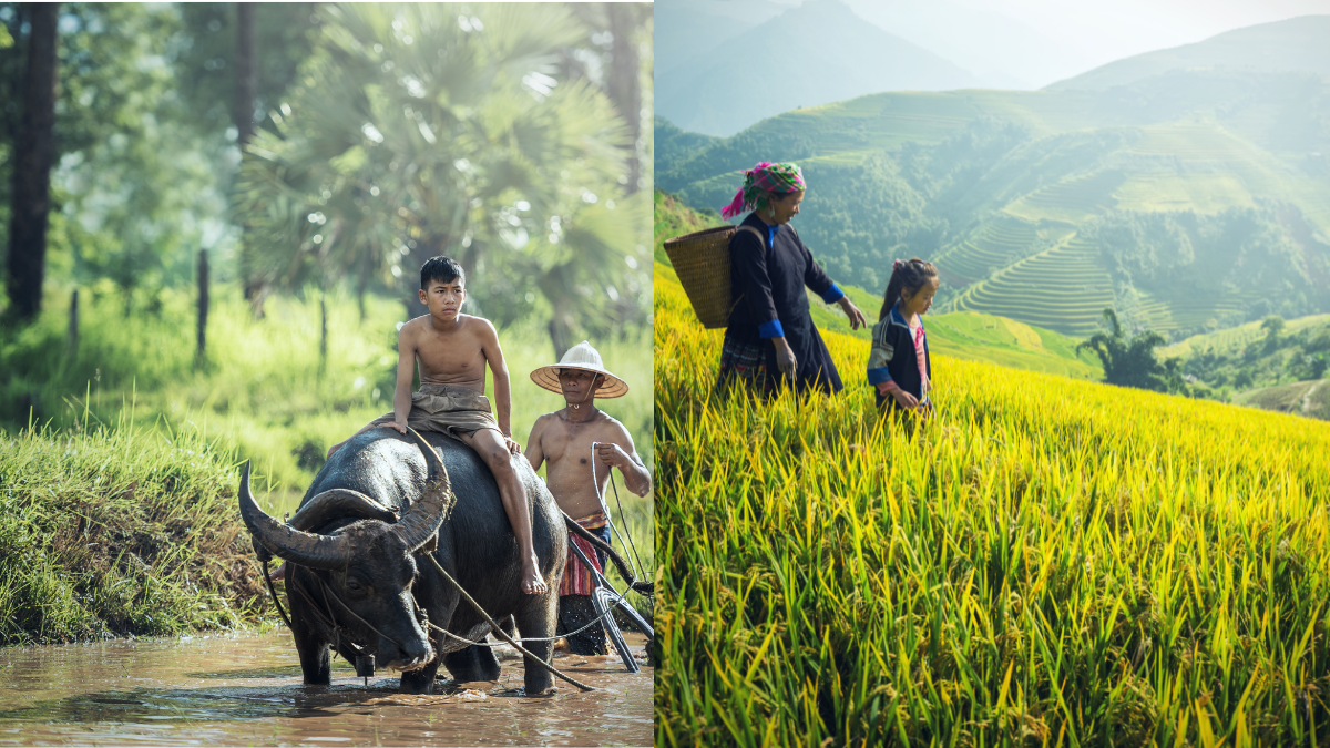 Tóm tắt Về thăm mẹ chọn lọc hay nhất - Ngữ văn lớp 6