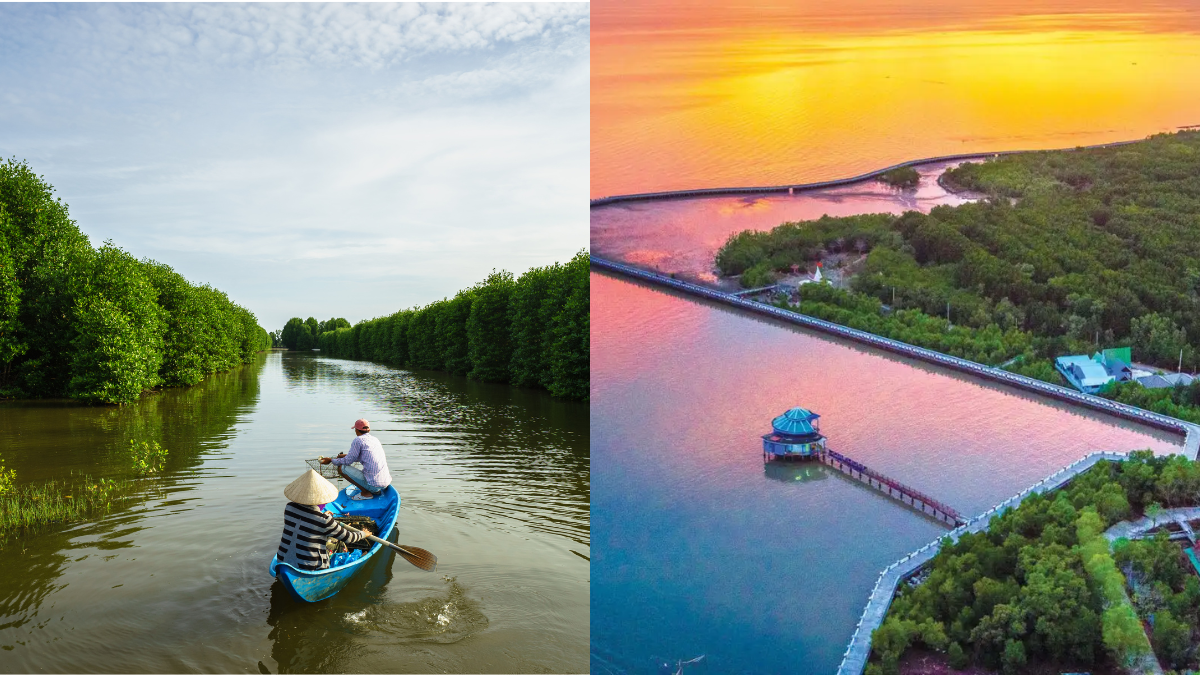 Phân tích Cà Mau quê xứ của Trần Tuấn chọn lọc hay nhất