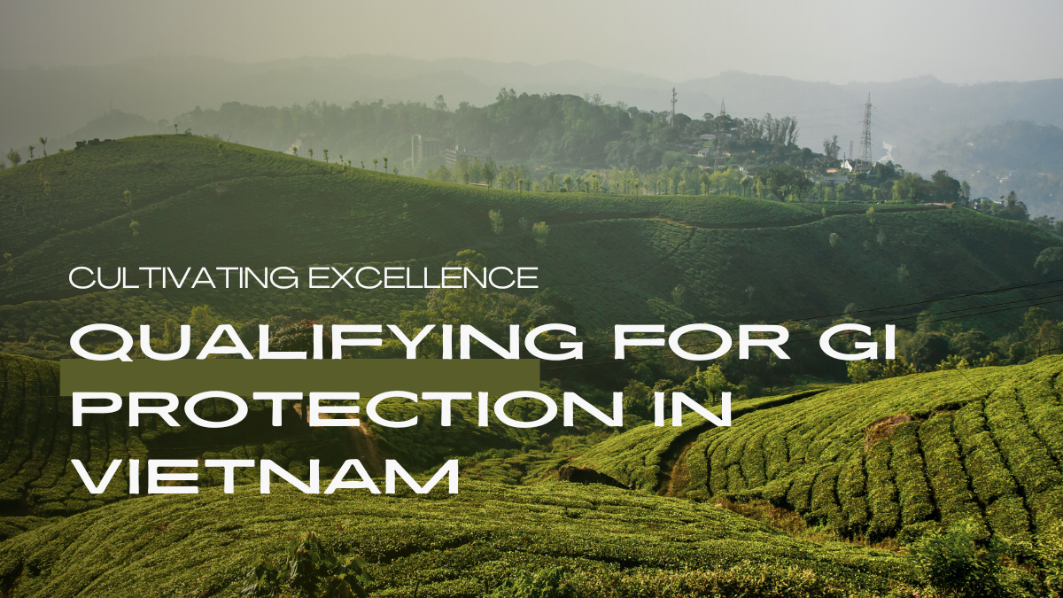 Cultivating Excellence: Qualifying for GI Protection in Vietnam