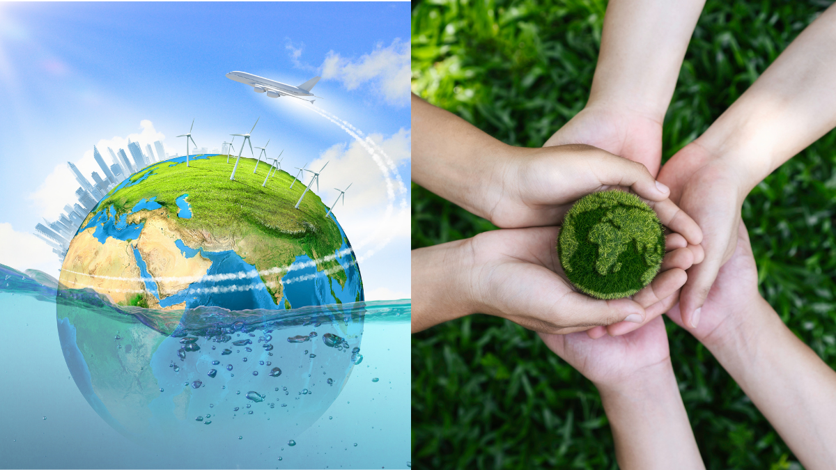 Tóm tắt Trái Đất - mẹ của muôn loài chọn lọc hay nhất