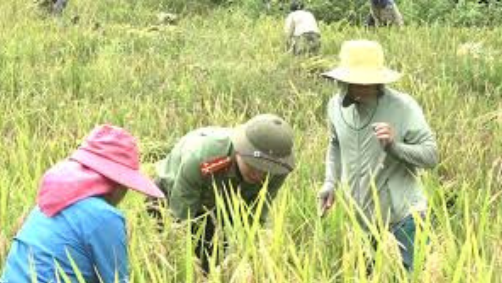 Địa chỉ, số điện thoại Công an huyện Tây Sơn (Bình Định) là gì?