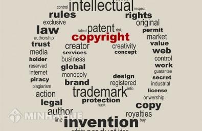International registration of intellectual property rights
