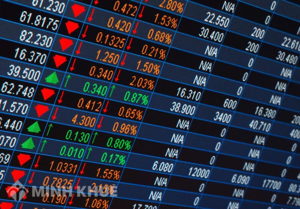 Counseling on the establishment of a securities company