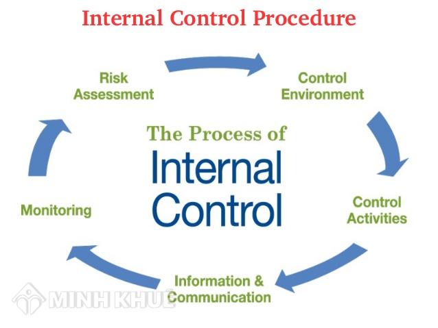 Internal control consultancy for enterprises