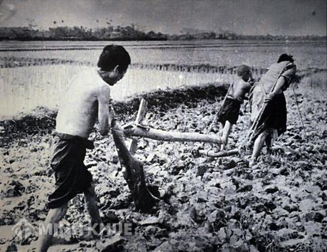 Luật cải cách ruộng đất là gì ? Tìm hiểu về Luật cải cách ruộng đất