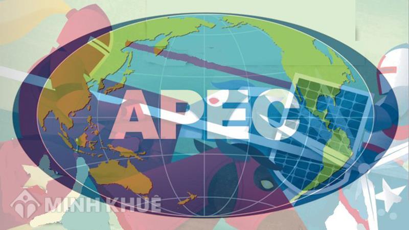 Việt Nam gia nhập APEC như thế nào ? Mục tiêu và nguyên tắc hoạt động ...