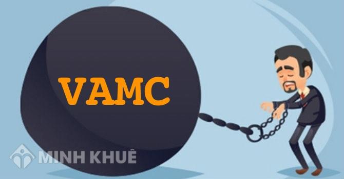 VAMC là gì? Cơ cấu và hoạt động của AVMC?
