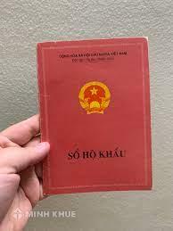 Nhập khẩu muộn cho con có bị phạt bao nhiêu tiền?