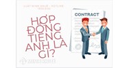 Appendix contract là gì? Phụ lục hợp đồng tiếng Anh là gì?