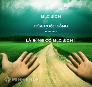 Nghị luận xã hội về sống có mục đích chọn lọc hay nhất