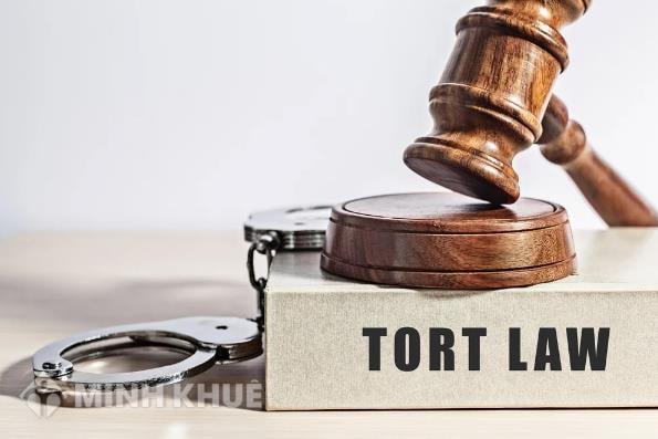 Tort law là gì? Cách hiểu đúng về nghĩa của từ "Tort law"?